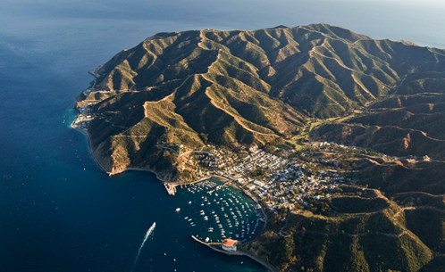 Catalina Conservancy Friend Level Membership - A Journey With Wings