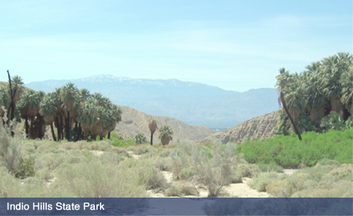 Indio Hills Palms - A Journey With Wings